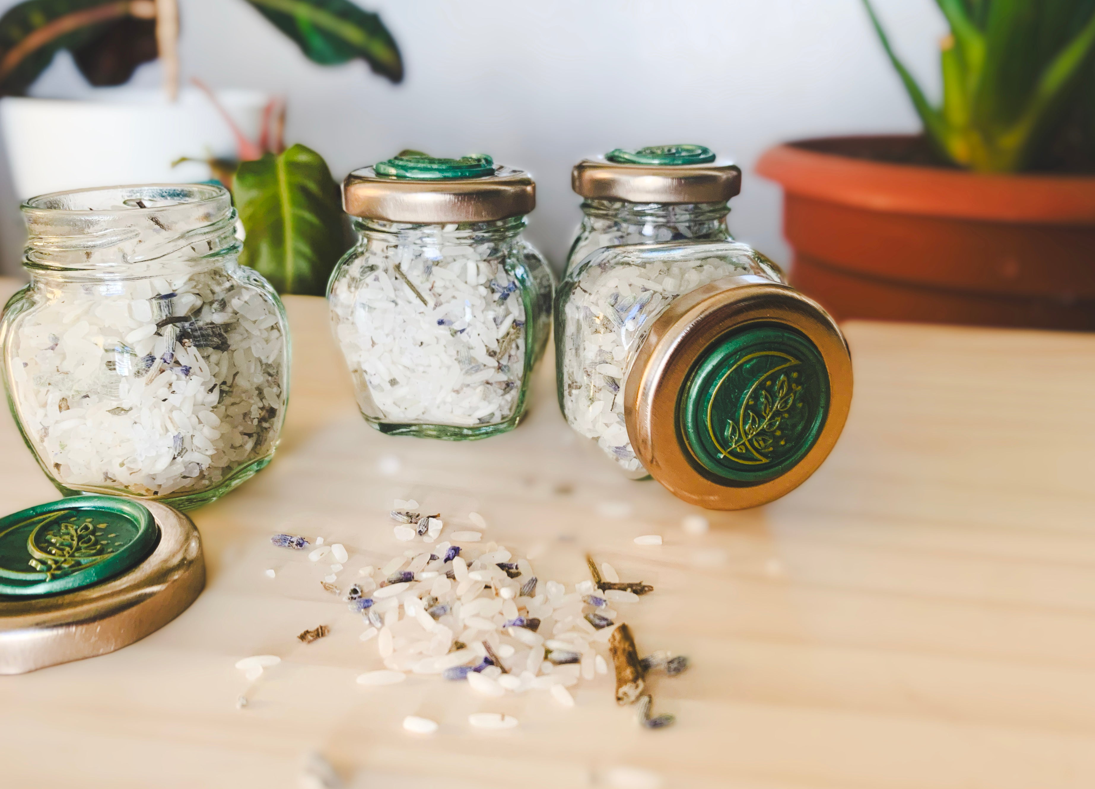 Four Corners Salt Kit (4 Jars) – The Green Witches Shoppe